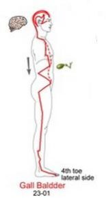Blockages in the 12 Ordinary Meridians and their Higher Powers of ...